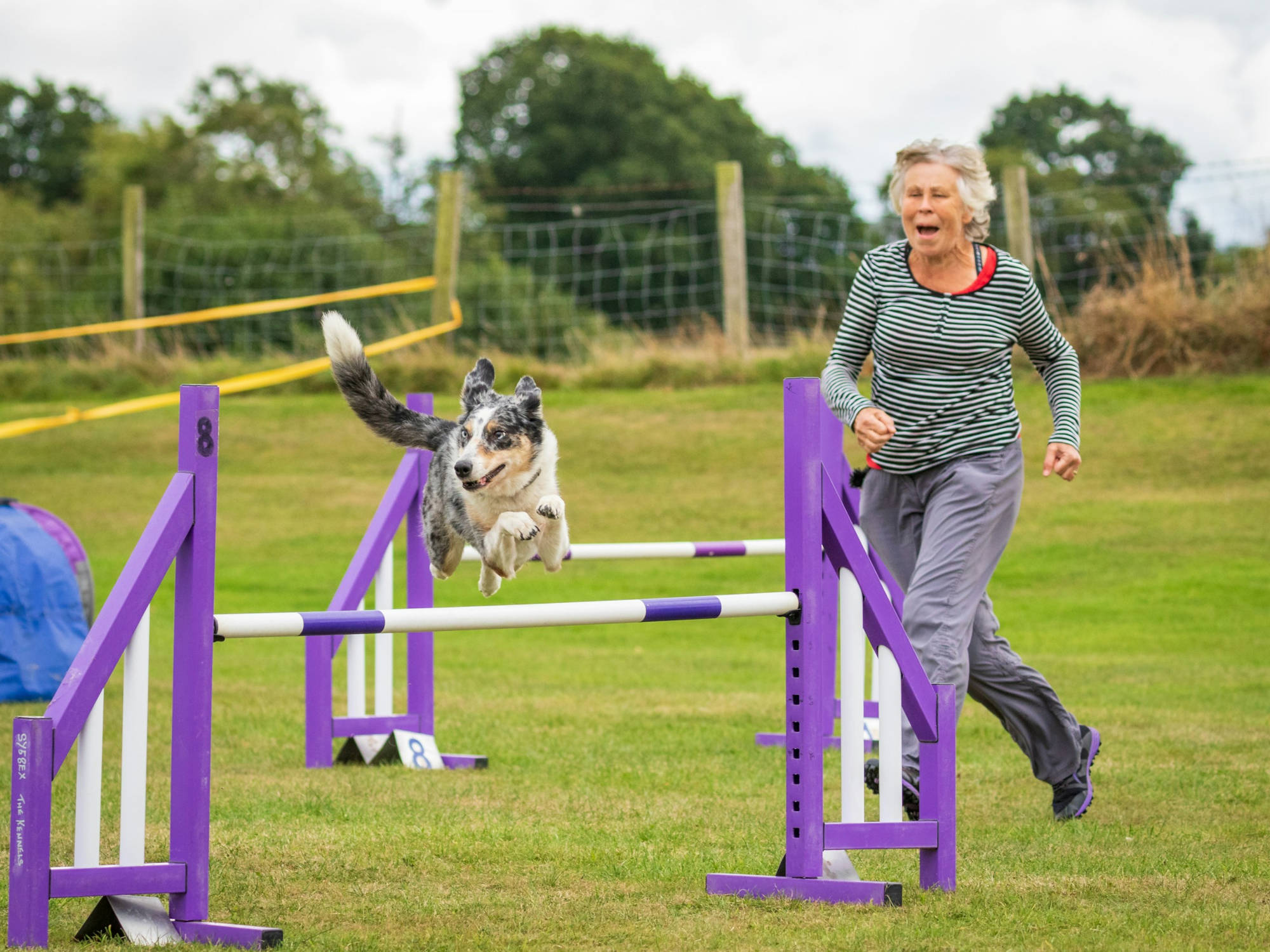 Organisational agility: new research reveals what’s slowing businesses down