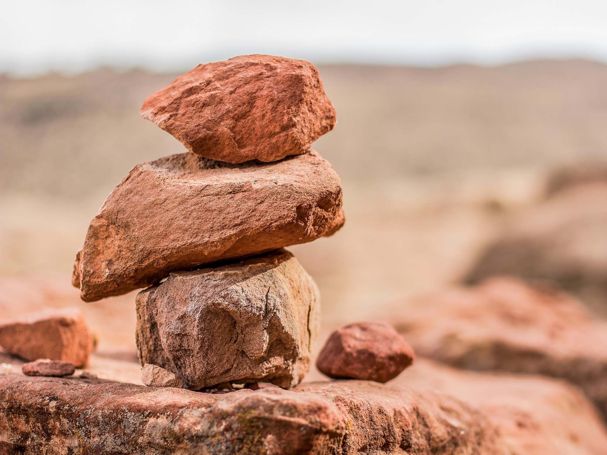 Critical thinking in business: leave no stone unturned